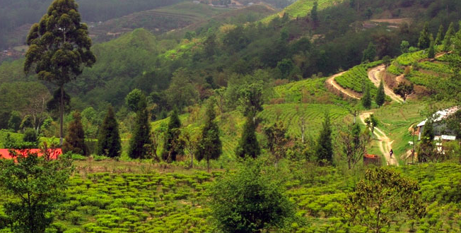 hile dhankuta | Nepal Visit Info