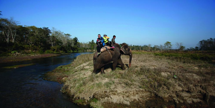 chitawan national park | Nepal Visit Info